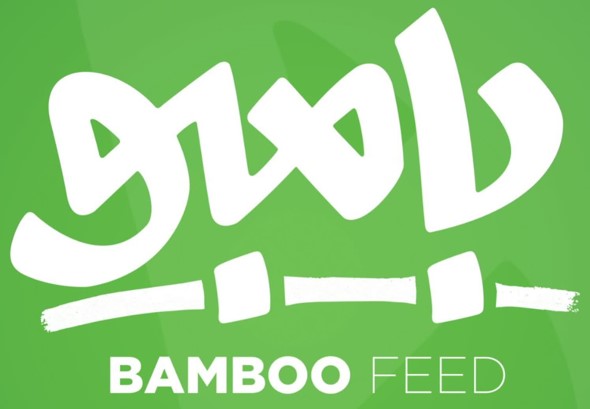 حامیان برنزی